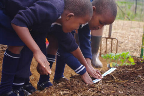Environmental education programmes for schools and youth - WESSA