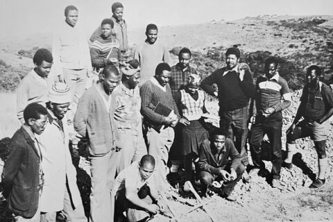 History of WESSA - WESSA