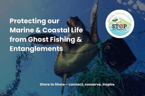 ‘Stop the Strangle’: a spotlight on ghost fishing and marine ...