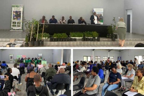 International Day of Climate Action with the uMgubandlala Wetlands ...